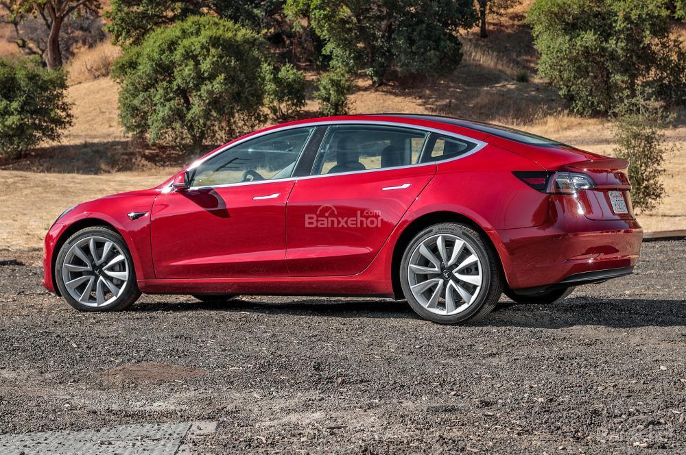 Tesla Model 3 mỗi ngày có trung bình 1.800 xe được đặt hàng