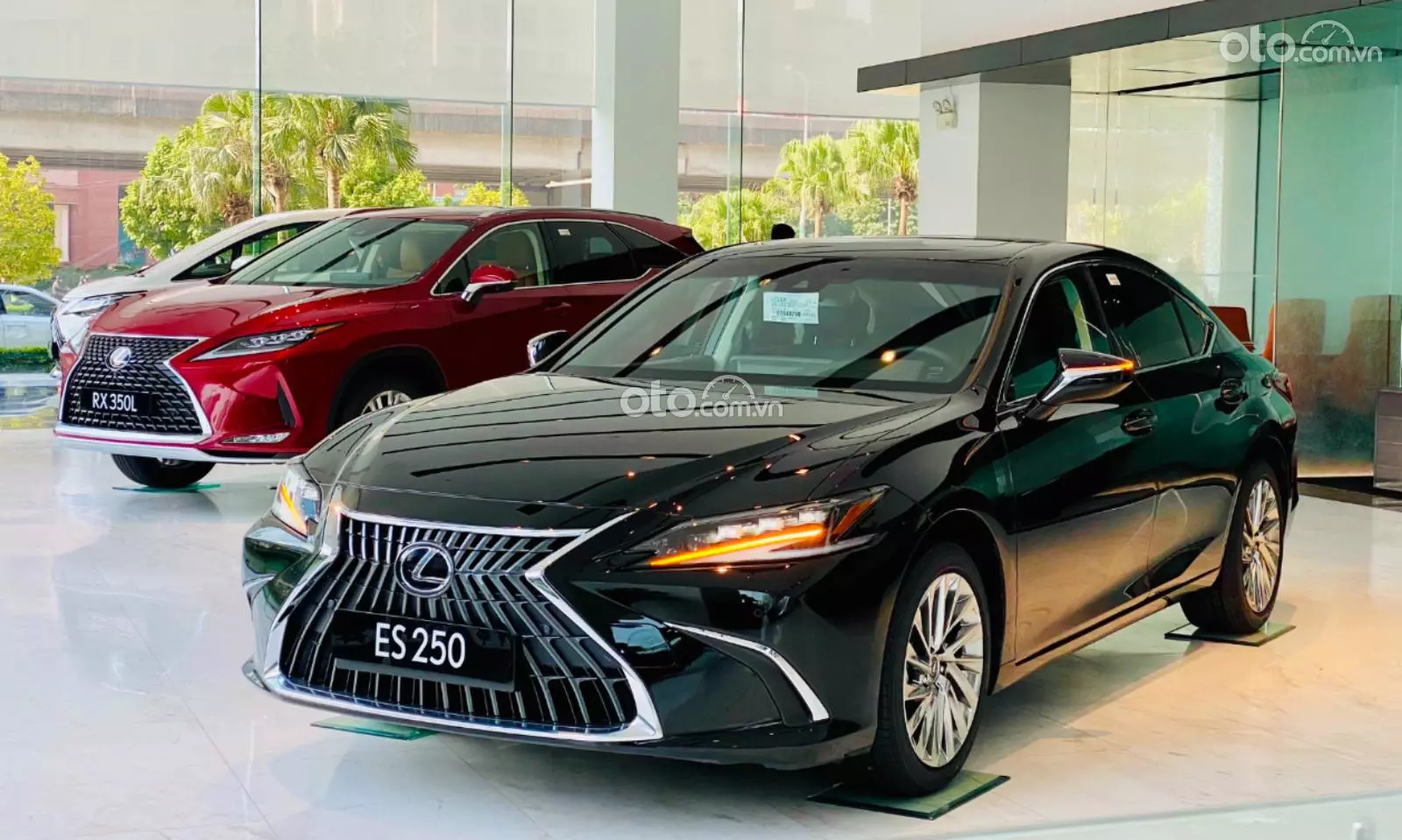 Mua bán Lexus ES 250 F-Sport 2023 giá 2 tỉ 620 triệu - 22948921