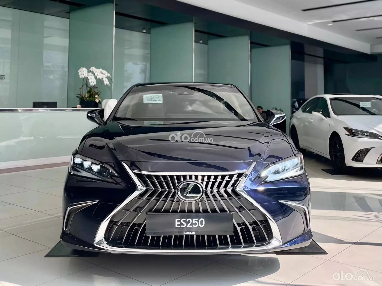 Mua bán Lexus ES 250 2023 giá 2 tỉ 620 triệu - 22999541