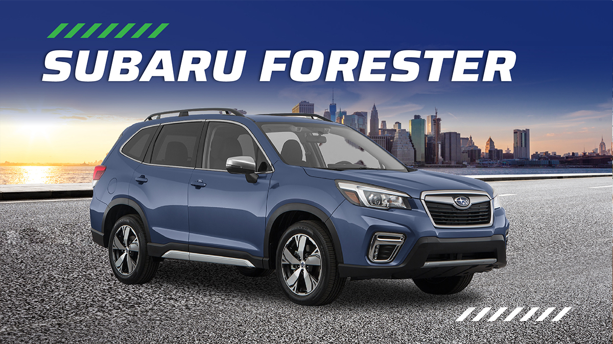 Mua bán xe Subaru Forester năm 1992 đến 2000 mới tại Bà Rịa Vũng Tàu ...